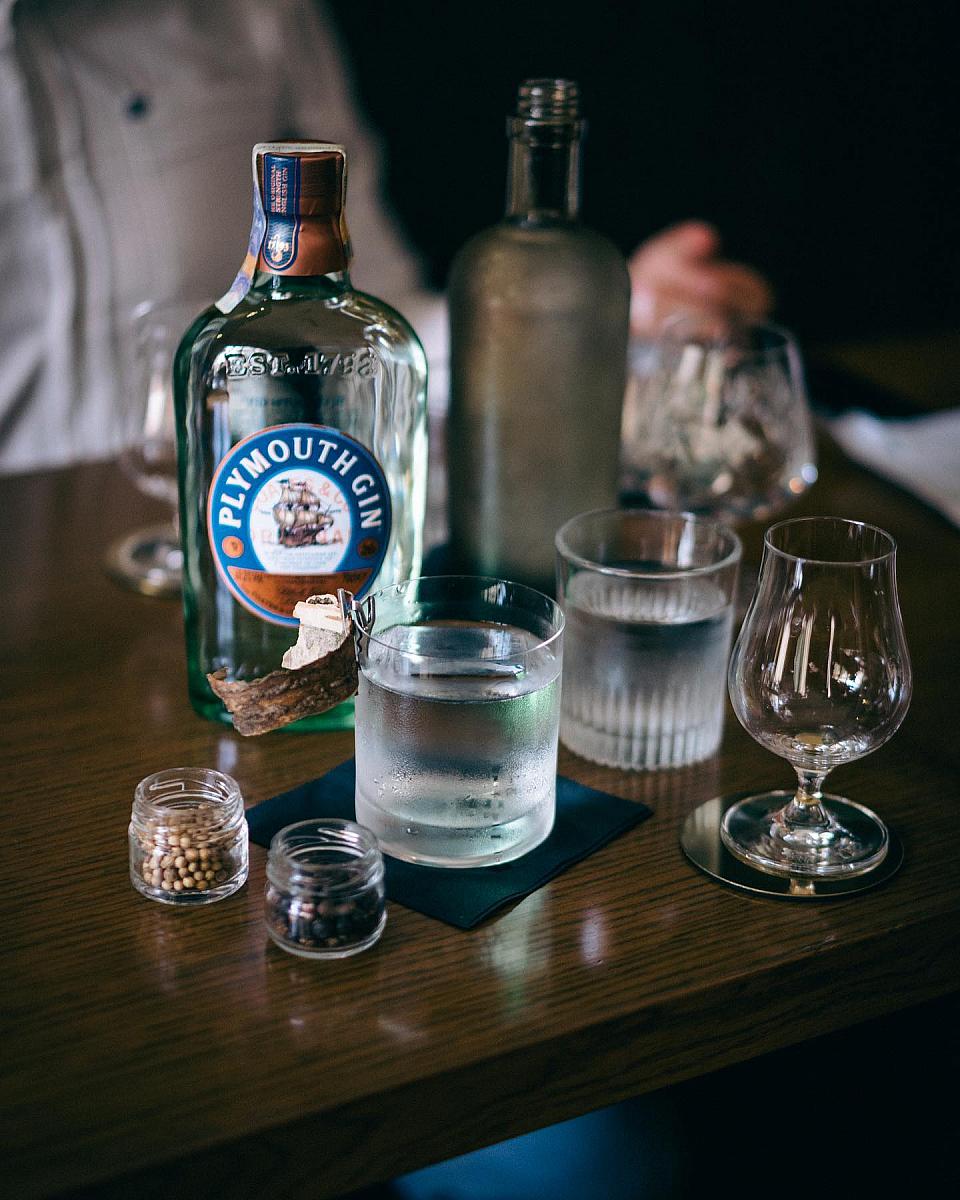 SPIRITed TOURs: The Rum Journey, the Gin Journey